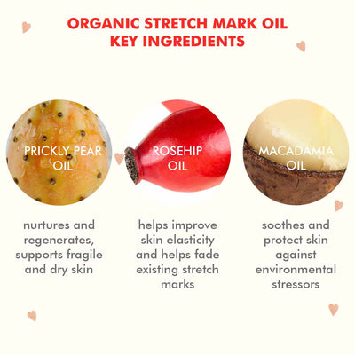 Organic Stretch Mark Oil 110ml - UK